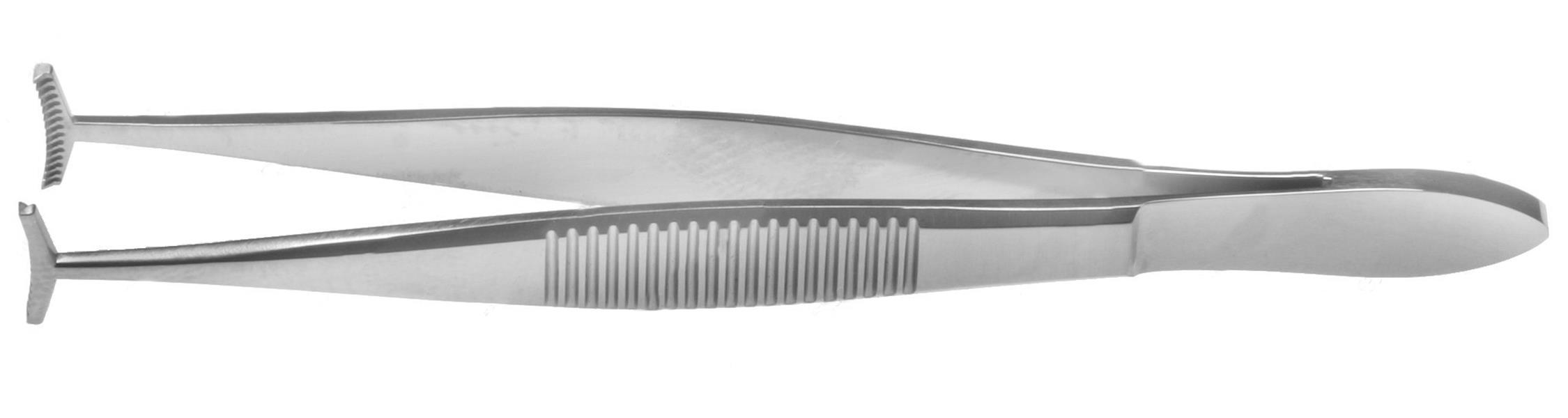 Green Fixation Forceps AF2395 - MST store